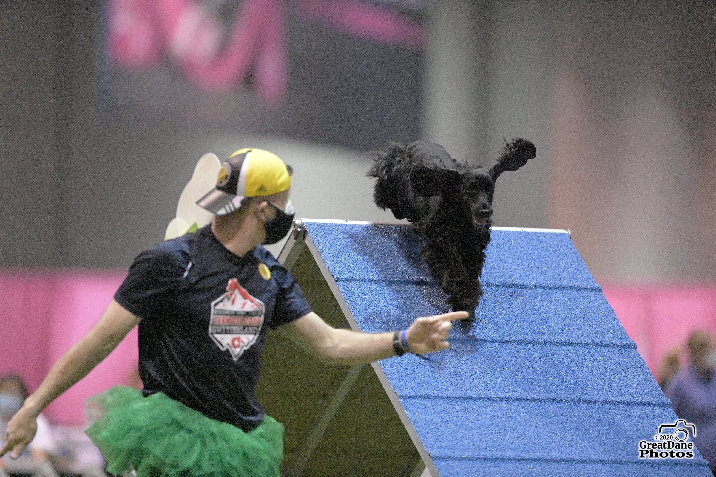 Judge Tim Pinneri's Weekend Course Maps – Handler course maps