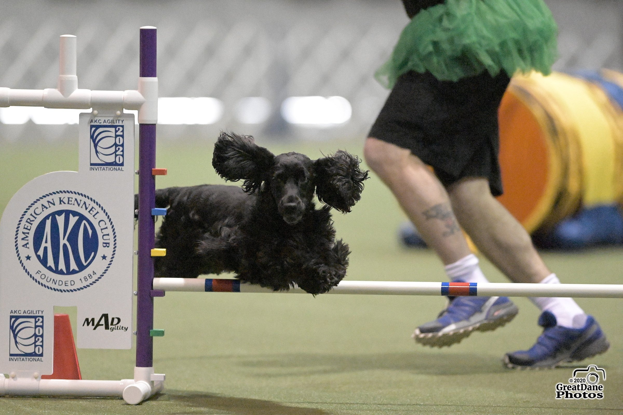 Judge Tim Pinneri's Weekend Course Maps – Handler course maps