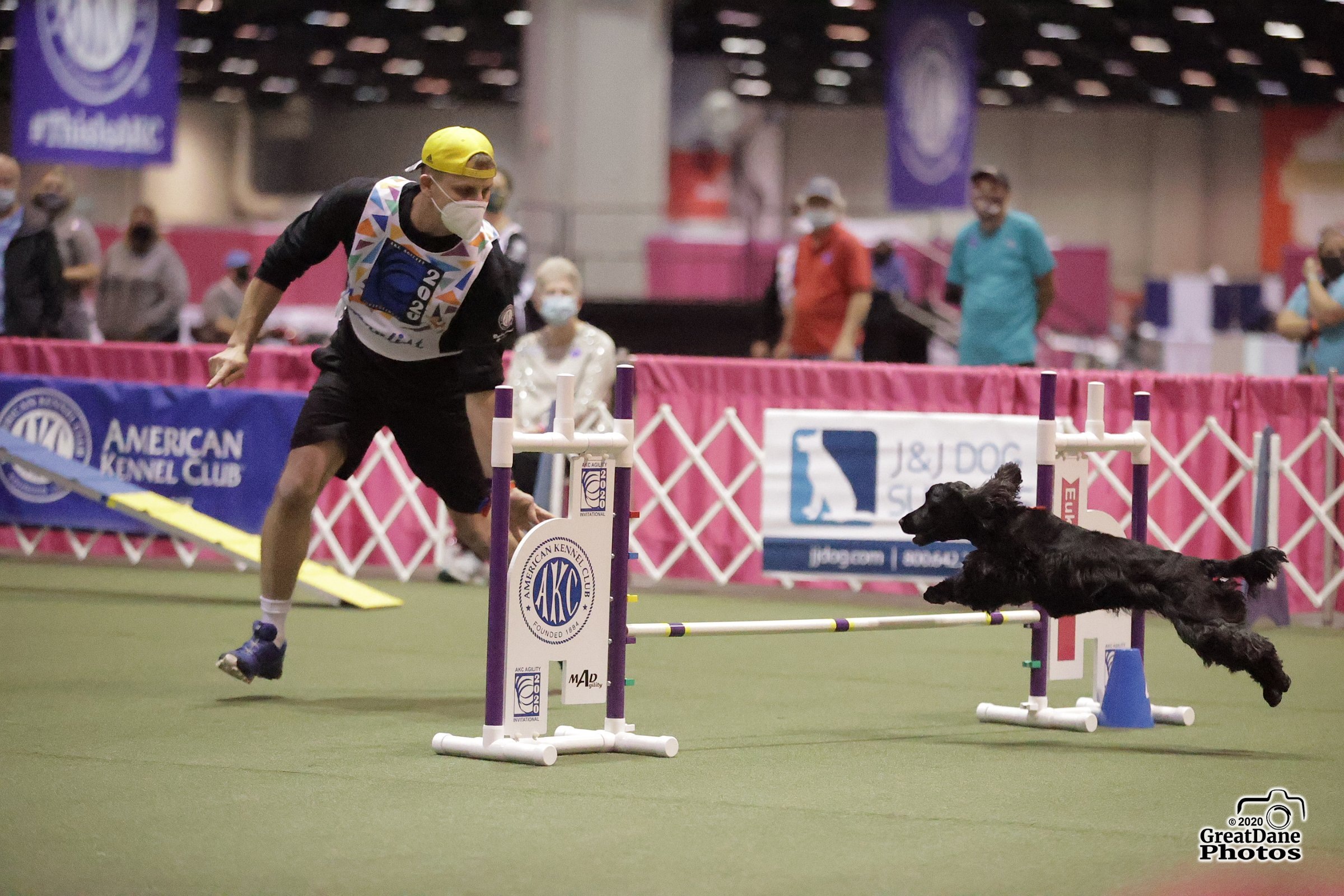 Judge Tim Pinneri's Weekend Course Maps – Handler course maps