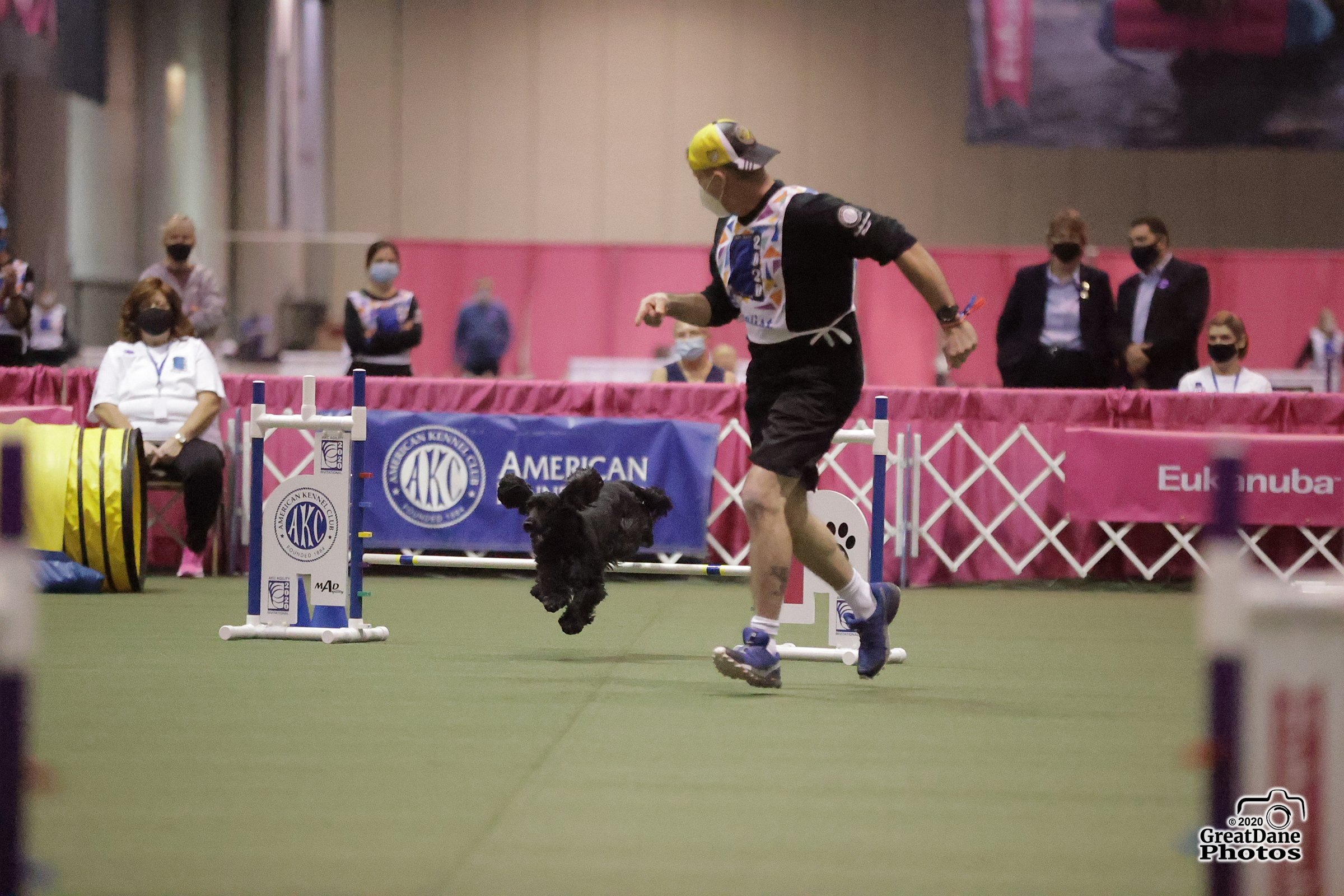 Judge Tim Pinneri's Weekend Course Maps – Handler course maps