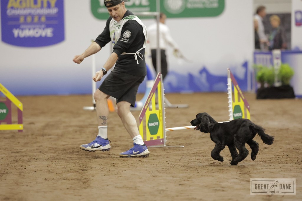 Judge Tim Pinneri's Weekend Course Maps – Handler course maps