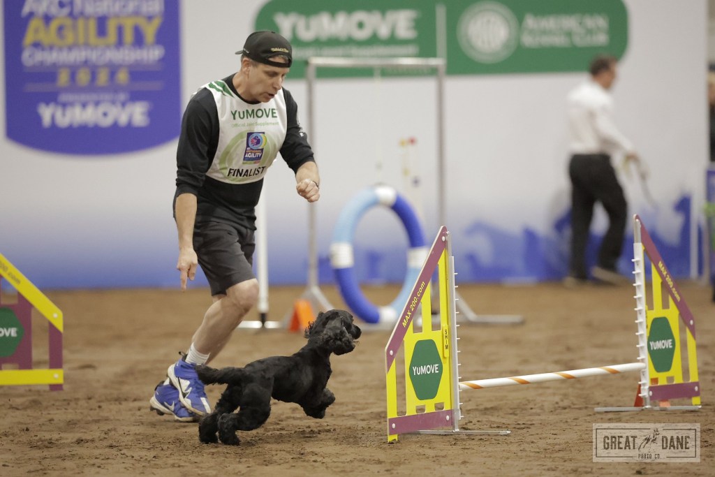 Judge Tim Pinneri's Weekend Course Maps – Handler course maps