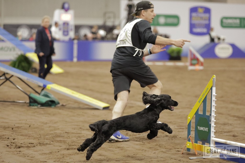 Judge Tim Pinneri's Weekend Course Maps – Handler course maps