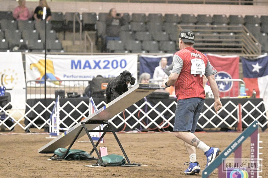 Judge Tim Pinneri's Weekend Course Maps – Handler course maps