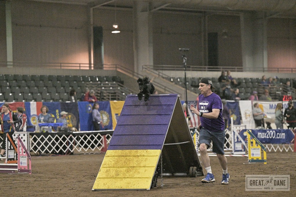 Judge Tim Pinneri's Weekend Course Maps – Handler course maps